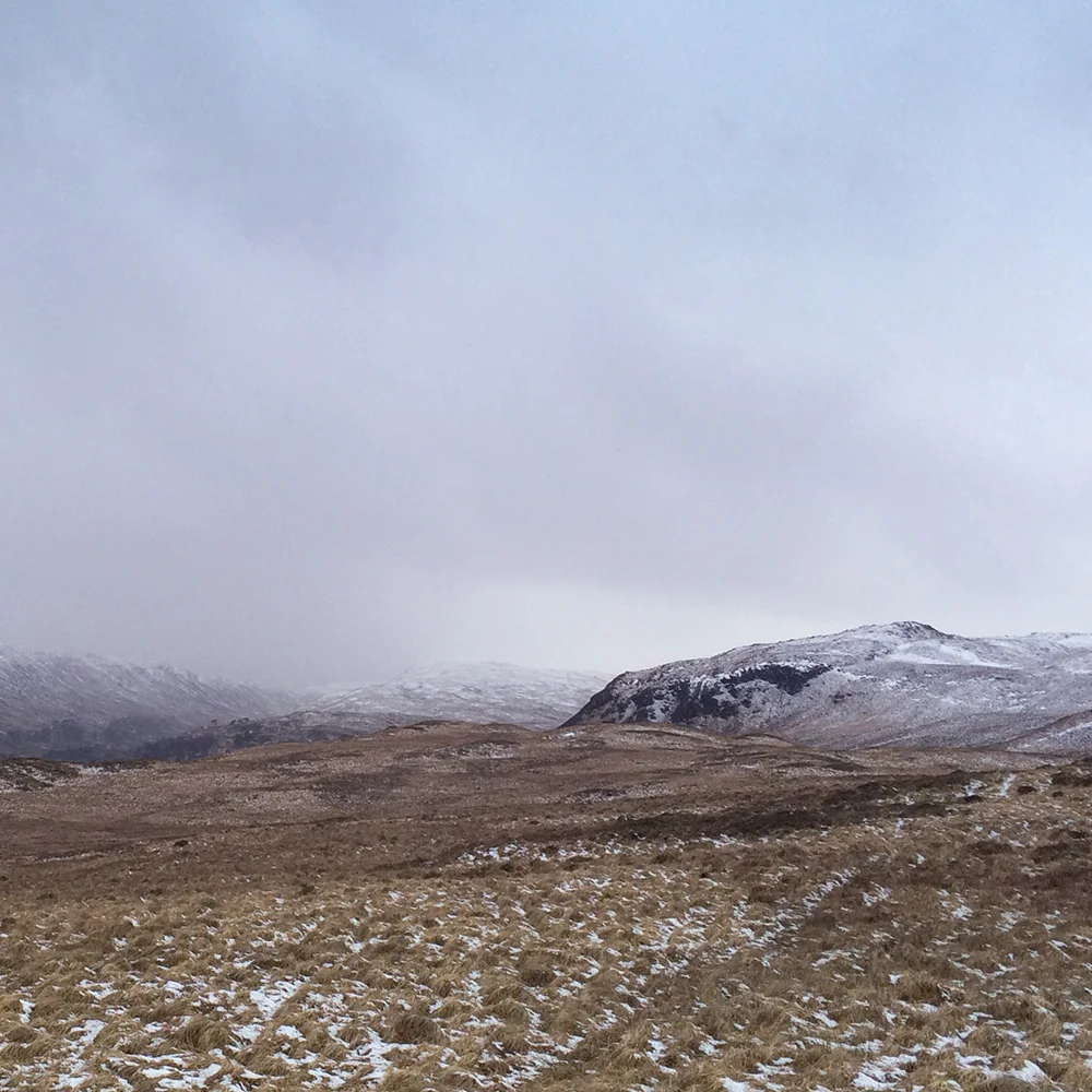 Sound Effects and Software by Tonsturm - LIB 019 Rushing Wind